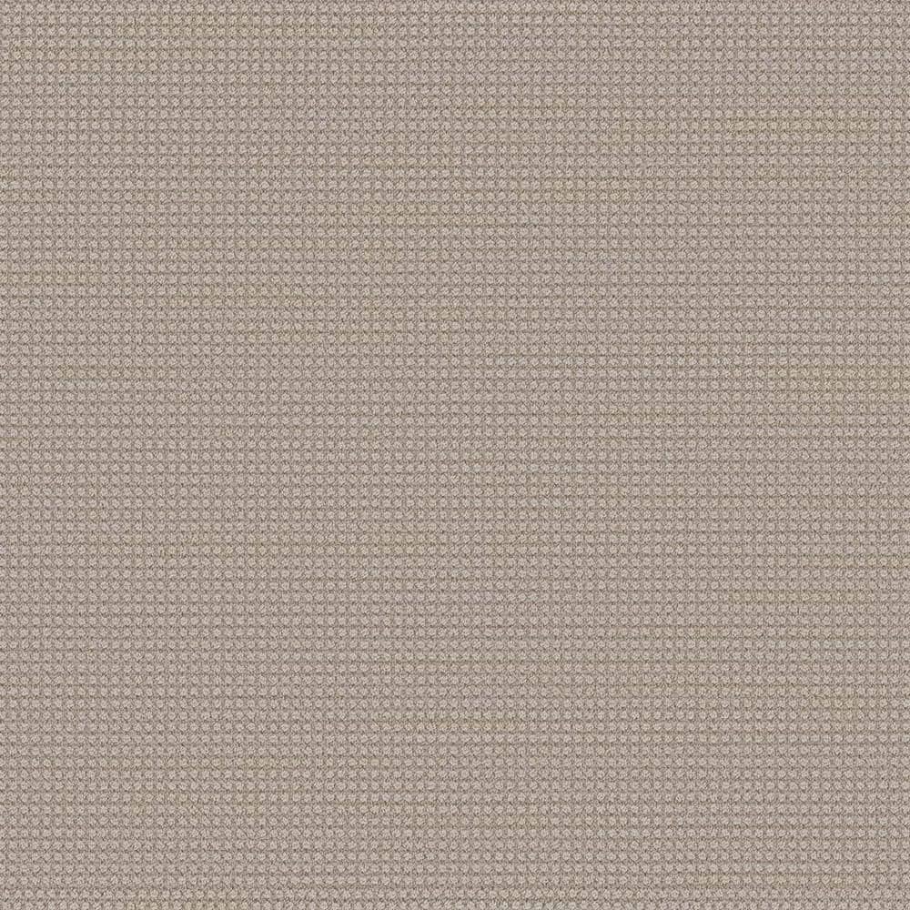 Lifeproof 8 in. x 8 in. Loop Carpet Sample - Thornbrook -Color Falcon ...