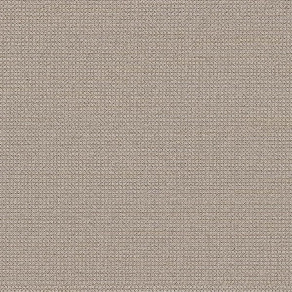 Lifeproof 8 in. x 8 in. Loop Carpet Sample - Thornbrook -Color Falcon ...