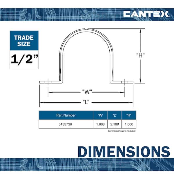 Cantex 1/2 in. 2-Hole PVC Clamp / Strap, For use with Schedule 40 and ...