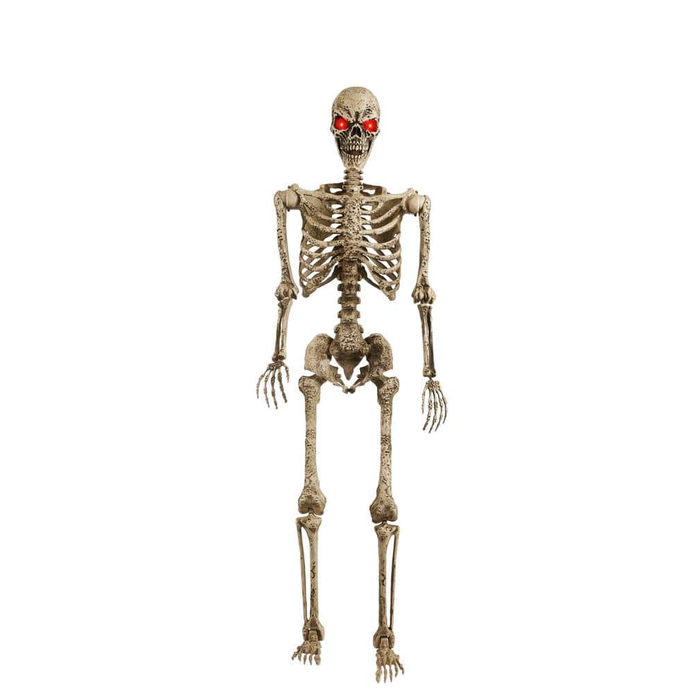 Reviews for Home Accents Holiday 5 ft. LED Pose-N-Stay Pitted Skeleton ...
