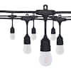 Honeywell Outdoor/Indoor 24 ft. Plug-In A-Shape Bulb String Light Set ...