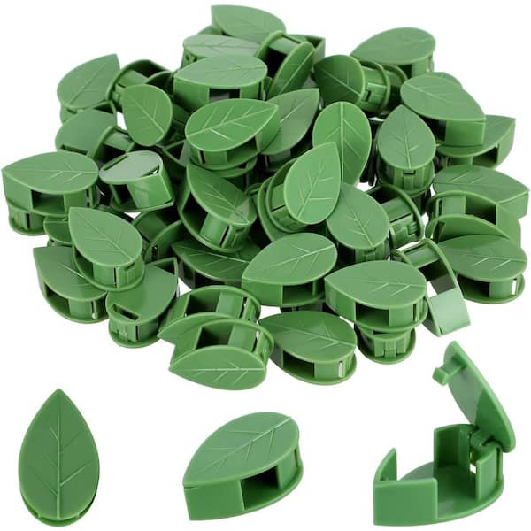 Phewnyzo 100 Pcs Green Plant Climbing Wall Self-Adhesive Fixture Clips ...
