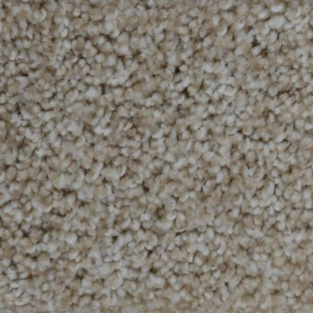 Home Decorators Collection Stargazer - Cosmic - Beige 32 oz. SD ...