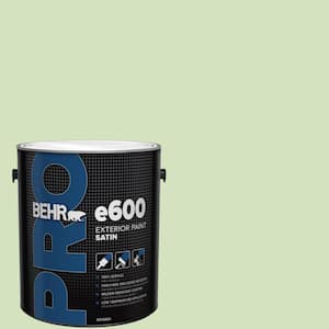 BEHR PRO 1 gal. #P380-3 Irish Folklore Low Luster Exterior Paint ...