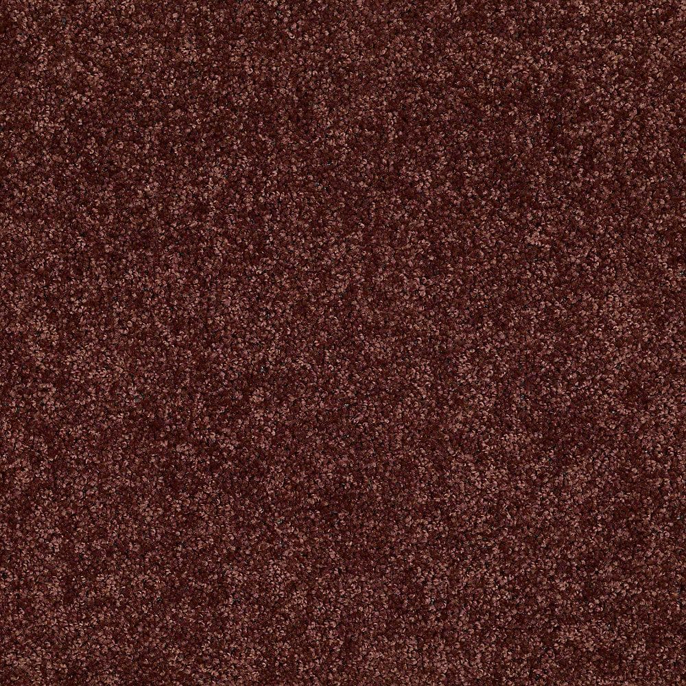 TrafficMaster 8 in. x 8 in. Texture Carpet Sample - Alpine - Color ...