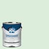 SPEEDHIDE 1 gal. PPG1225-2 Dewmist Delight Satin Interior Paint PPG1225 ...