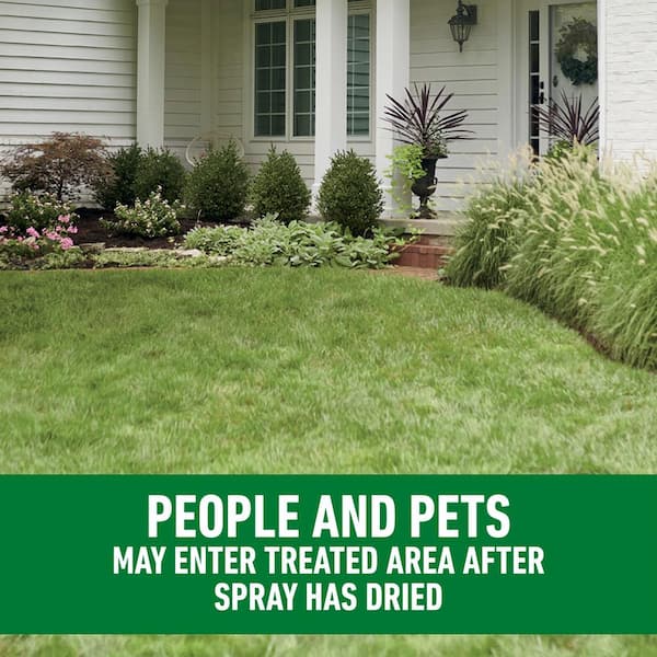 Roundup For Lawns₃ Selective Weed Killer Ready-To-Spray, 32 fl. oz. (2 ...