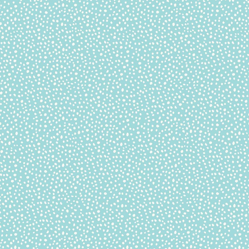 Advantage Dotty Light Blue Petite Polka Dot Wallpaper Sample 4203 ...