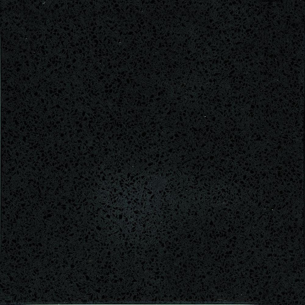 LG Hausys Viatera 2 in. Quartz Countertop Sample in Absolute Night LG ...
