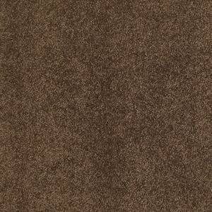 Lifeproof 8 in. x 8 in. Texture Carpet Sample - Coral Reef II - Color ...