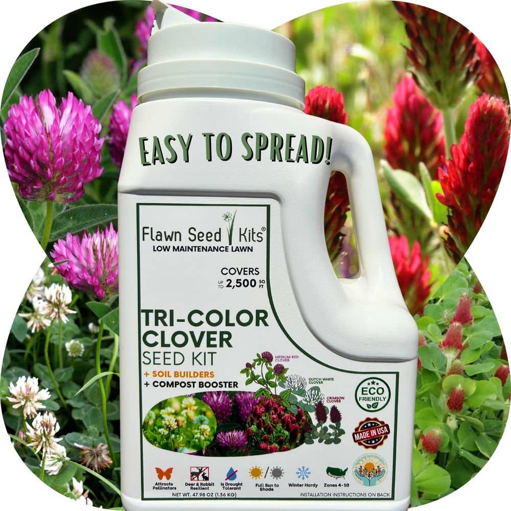 Flawn Seed Kits Tricolor Clover Flower Lawn Seed Kit, Easy Spread ...