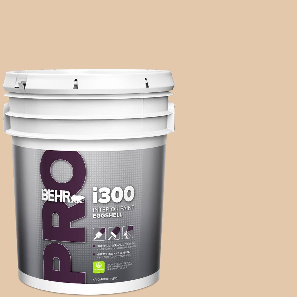 BEHR PRO 5 gal. #MQ2-45 Craft Juggler Eggshell Interior Paint PR33005 ...