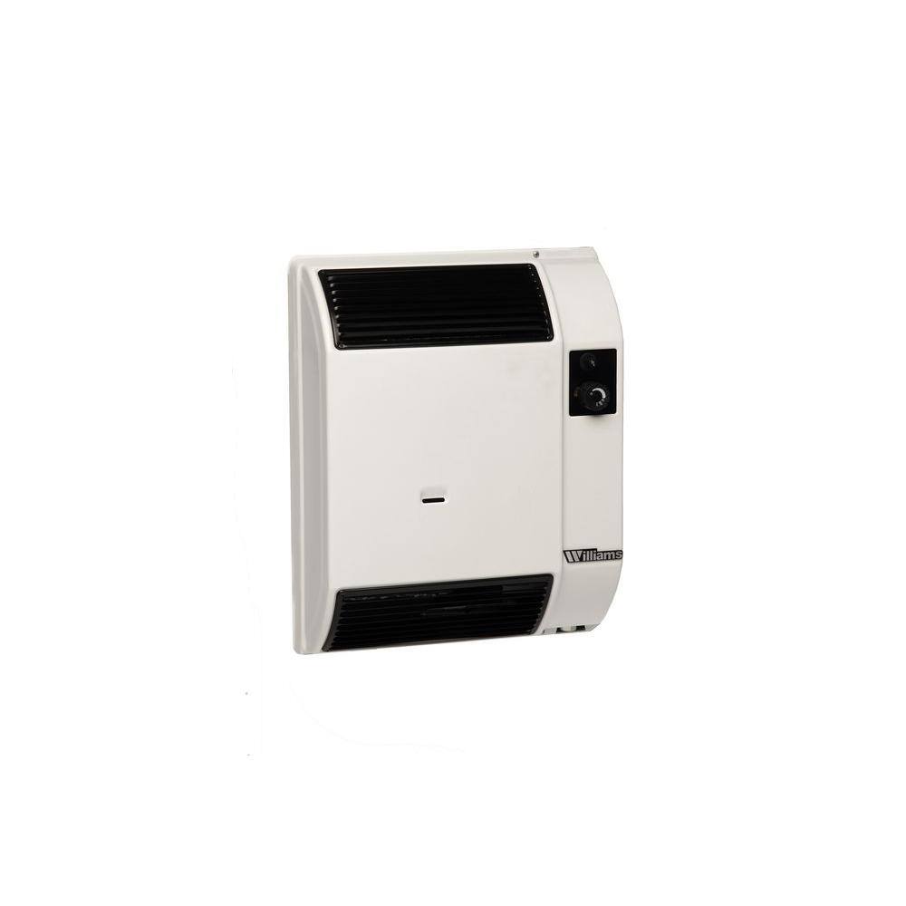 Williams 7,400 BTU Direct-Vent High-Efficiency Natural Gas Wall Heater ...