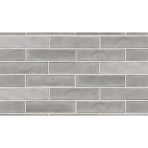 Daltile LuxeCraft Whimsy 3 in. x 12 in. Glazed Ceramic Wall Tile (12 sq ...