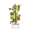 Gardyn Studio Hydroponics Growing System Kit and Vertical Planter, 16 ...