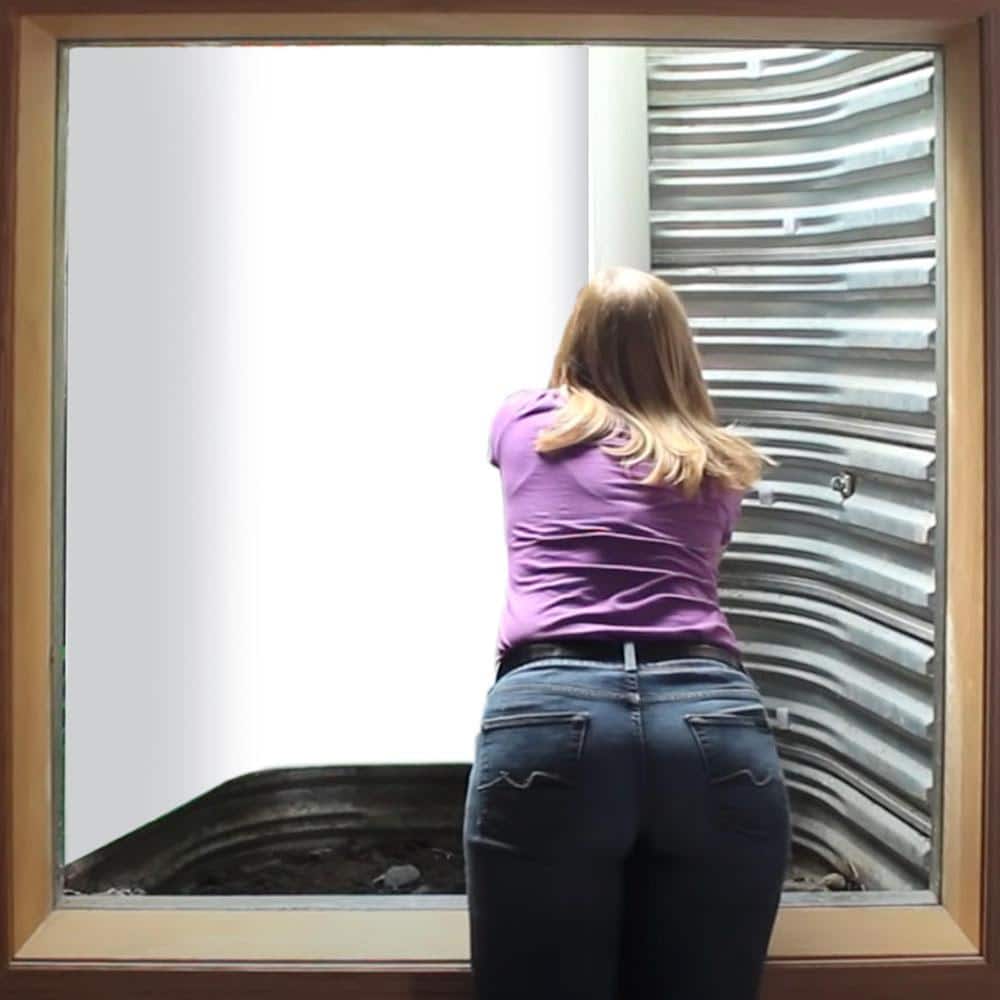 Biggies White View - Weather Proof Scene for Window Wells or Wall Mural ...