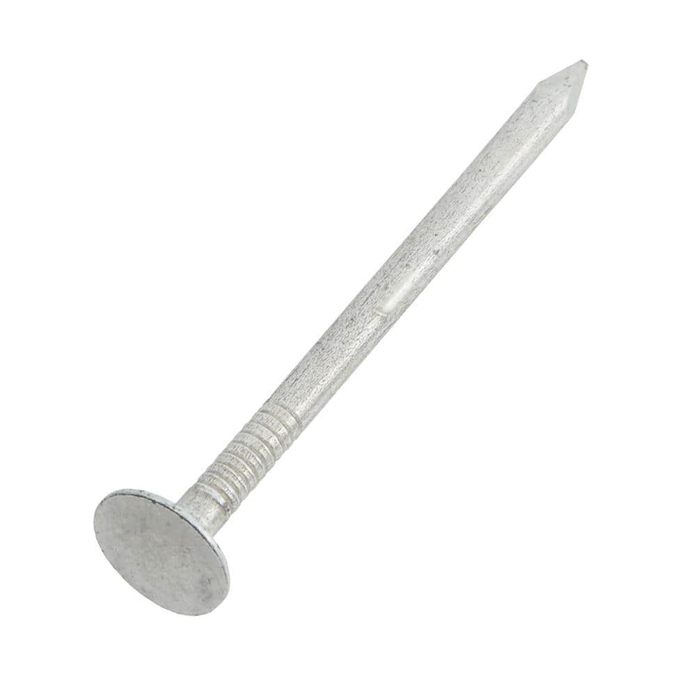 Everbilt 2in. x 6D Electro-Galvanized Non-Collated Roofing Nails 1 lb ...