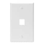 Leviton White 2-Gang Audio/Video Wall Plate (1-Pack) 42080-6WP - The ...