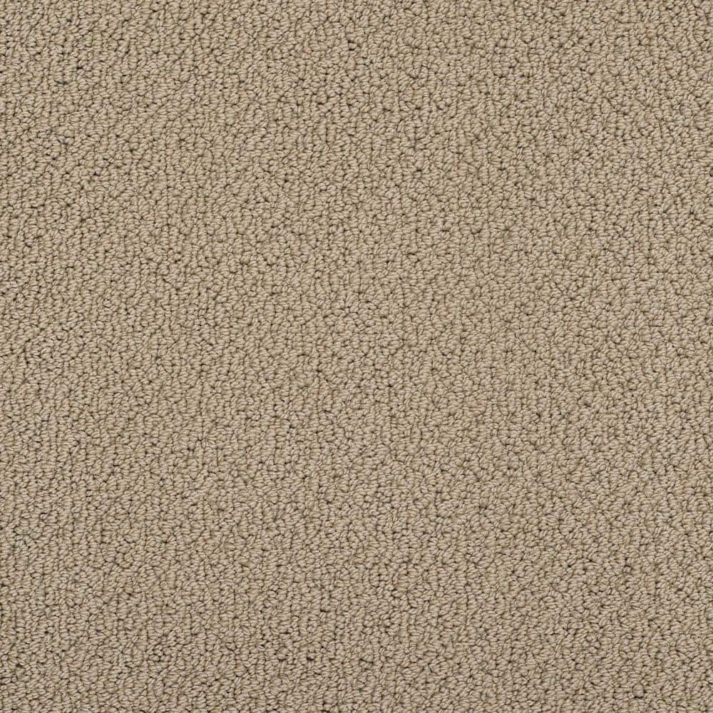 Lifeproof 8 in. x 8 in. Loop Carpet Sample - Lightbourne - Color Milk ...