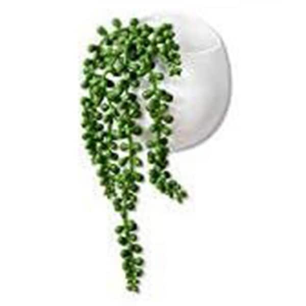 PotteryPots 11.81 in. W Extra Glossy White Fiberstone Indoor Outdoor ...