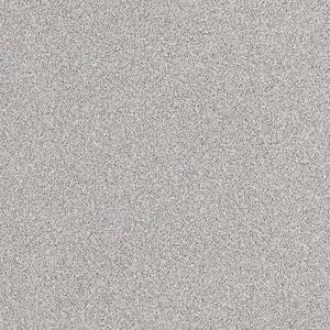 FORMICA 4 ft. x 8 ft. Laminate Sheet in Elemental Concrete with Matte ...