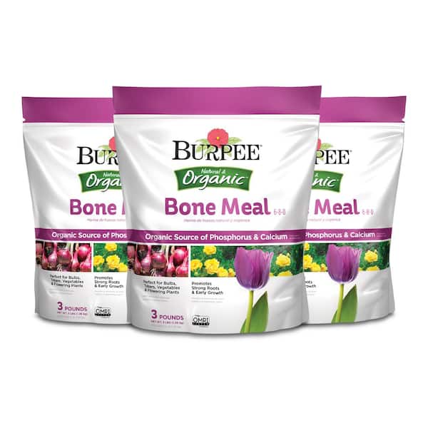 Burpee Natural & Organic 3 lbs. Bone Meal Granule Plant Food (3-Pack ...