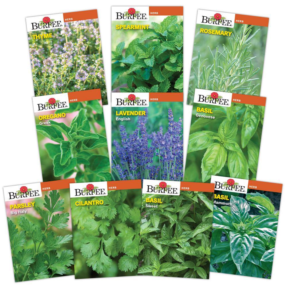 Burpee Herb Seed Collection (10-Pack) 92107 - The Home Depot