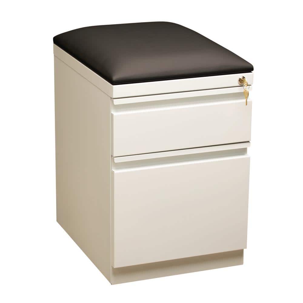 Hirsh 20 in. D 2-Drawer White/Black Metal Letter Width 15 in. W Mobile ...