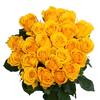 Globalrose 50 Stems of Bright Yellow Roses Fresh Flower Delivery ...