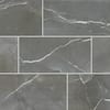 Daltile Rivervale Silver Steel 6 in. x 6 in. Glazed Ceramic Sample Tile ...