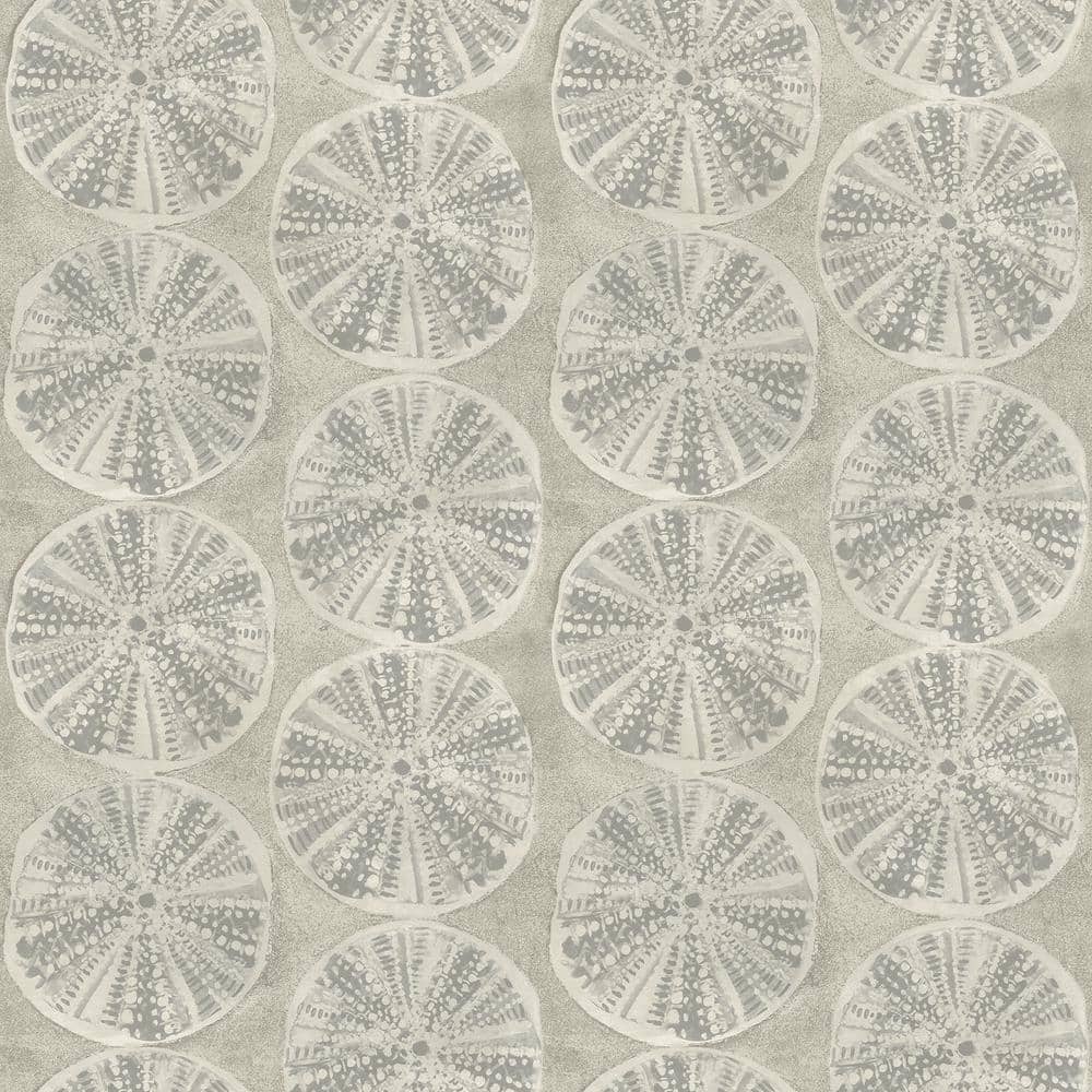 Chesapeake Sea Biscuit Grey Sand Dollar Matte Paper Pre-Pasted ...