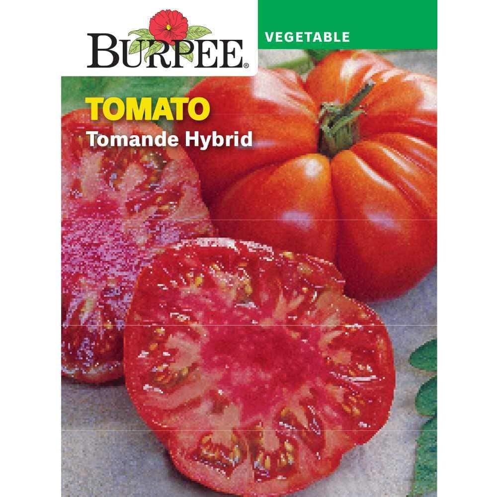 Burpee Garden Tomato Tomande Hybrid Vegetable Seed 61623 - The Home Depot