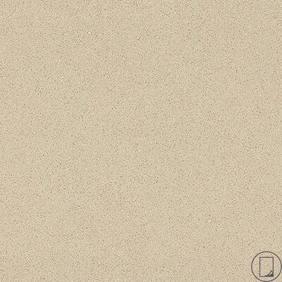 Wilsonart 5 ft. x 12 ft. Laminate Sheet in Neutral Glace with Matte ...
