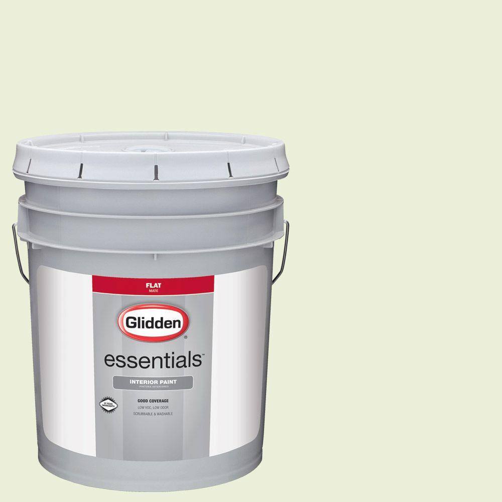 Glidden Essentials 5 gal. #HDGG29U Pale Wintergreen Flat Interior Paint ...