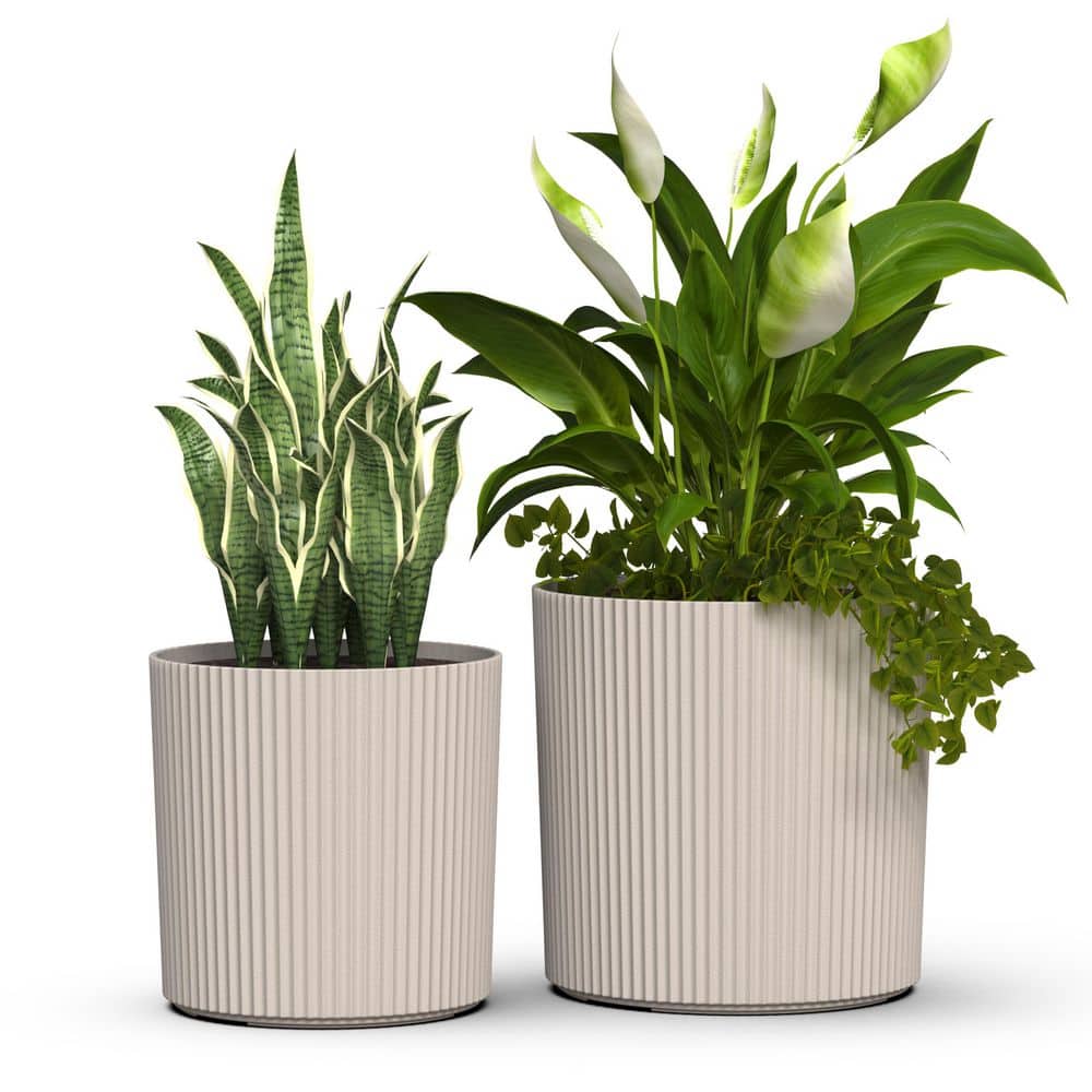 Serene Chai Plastic Indoor/Outdoor Planter with Drainage Holes (14 in ...