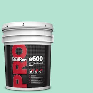 BEHR PRO 5 gal. #P420-2 Crystal Rapids Low Luster Exterior Paint ...