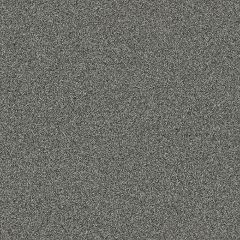 Lifeproof 8 in. x 8 in. Texture Carpet Sample - Coastal Charm II -Color ...