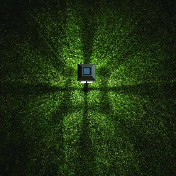 Green Light Across The Bay