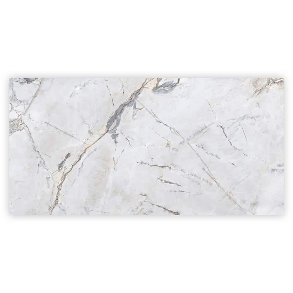 Apollo Tile Splendor 24 in. x 48 in. Polished Pale Gray Porcelain Large ...
