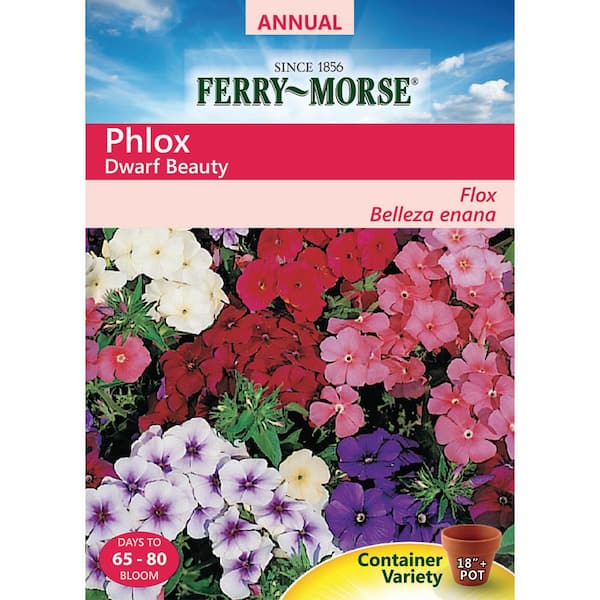 Ferry-Morse Phlox Annual Dwarf Mix Seed 4195 - The Home Depot
