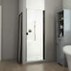 DreamLine Alliance Swing BG 28 in. W x 66 in. H Semi-Frameless Swing ...