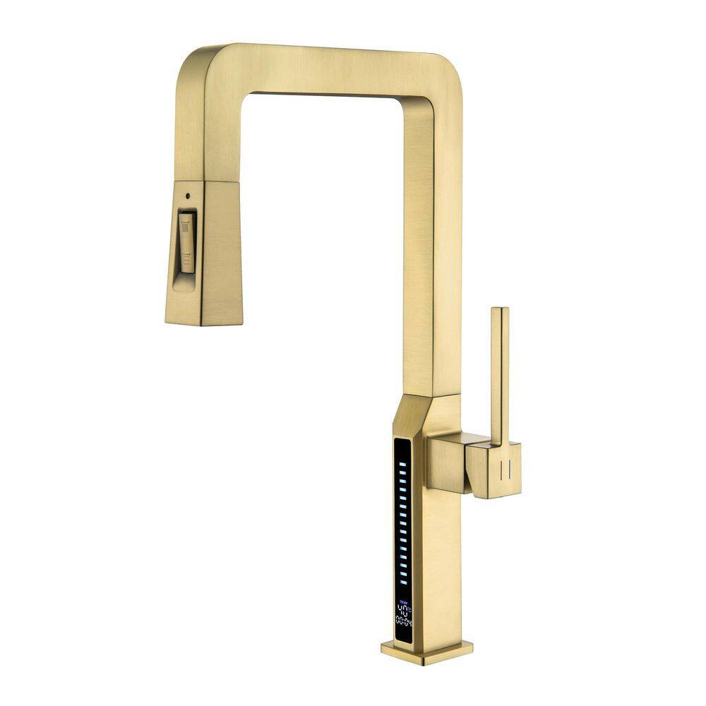 FLG Single Handle Pull Down Sprayer Kitchen Faucet with Pull Out Spray ...