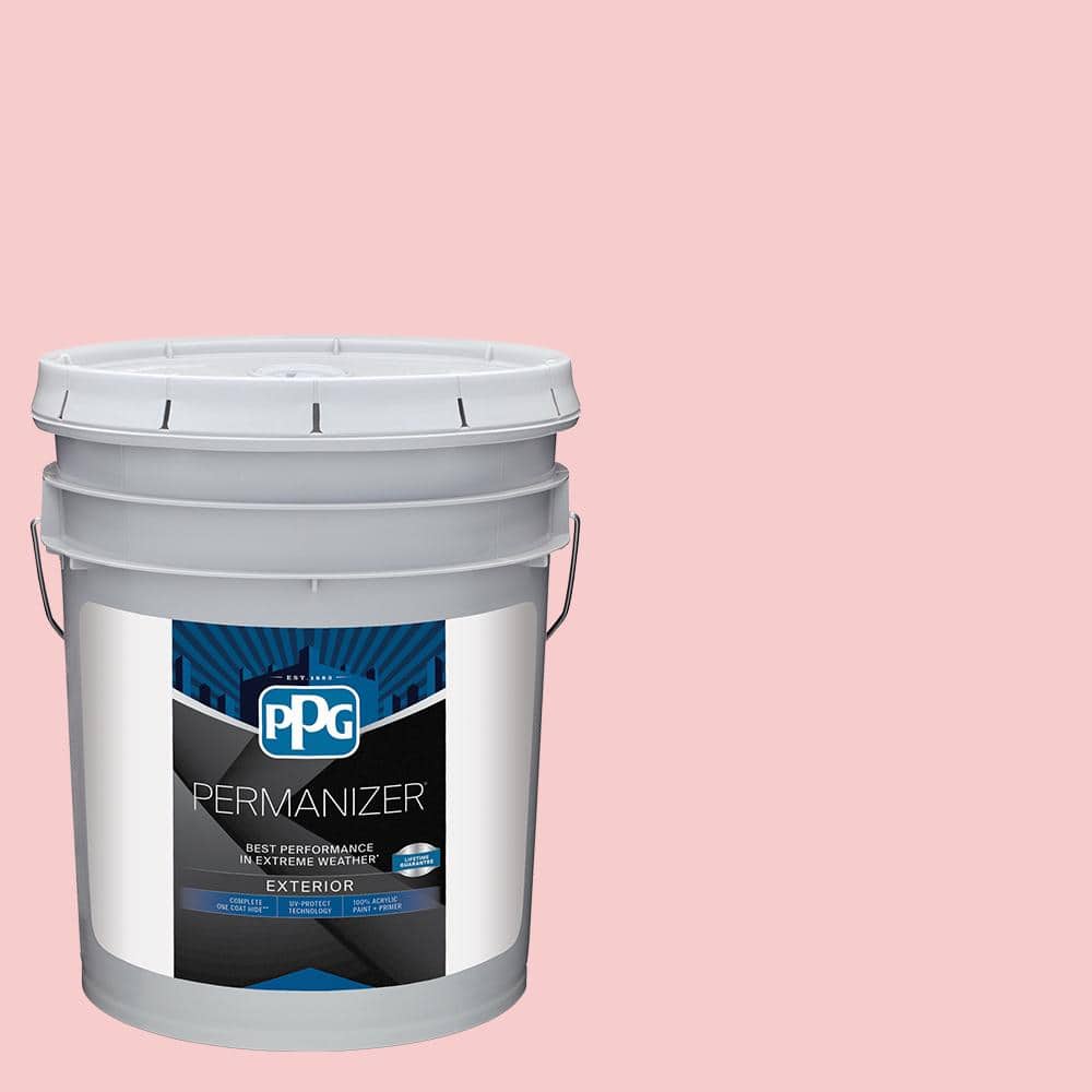PERMANIZER 5 gal. PPG1185-2 Kendall Rose Flat Exterior Paint PPG1185 ...