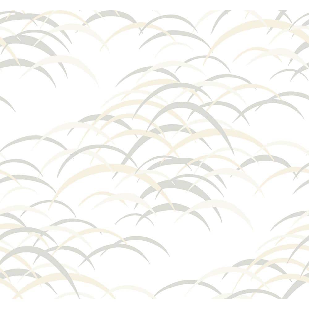 A-Street Prints Kasia Neutral Beige Abstract Matte Paper Non-Pasted ...