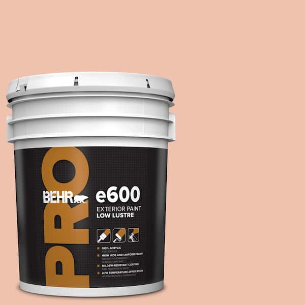 BEHR PRO 5 gal. #M180-3 Flamingo Feather Low Luster Exterior Paint ...