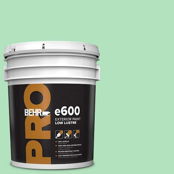BEHR PRO 5 gal. #P400-3 Folk Tale Low Luster Exterior Paint PR62005 ...