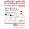 Lynch Sign 18 in. x 24 in. Emergency First Aid CAB's Sign Printed on ...