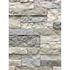 AIRSTONE Spring Creek Gray Cement Standard Primary Wall Tiles CLSCFIO ...