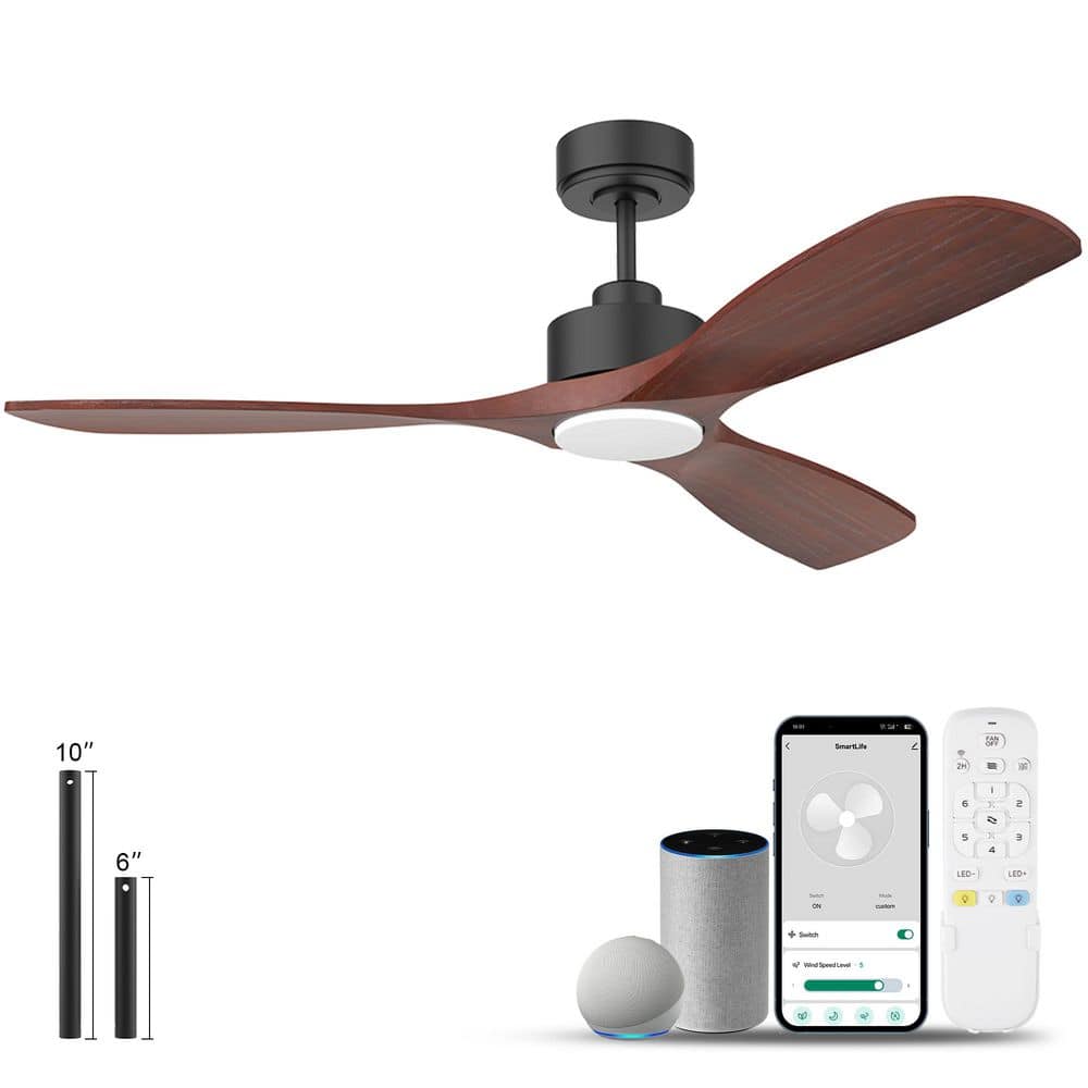 REDIAMS 52 in. Modern Outdoor Indoor Black Standard Ceiling Fans with ...