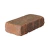 Pavestone RumbleStone Mini 7 in. x 3.5 in. x 1.75 in. Sierra Blend ...
